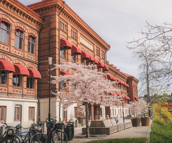 Campus Viktor Rydberg - Antagningspoäng 2025