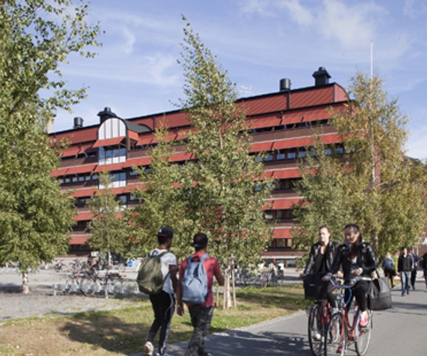 Gymnasium i Luleåområdet (8 gymnasier)