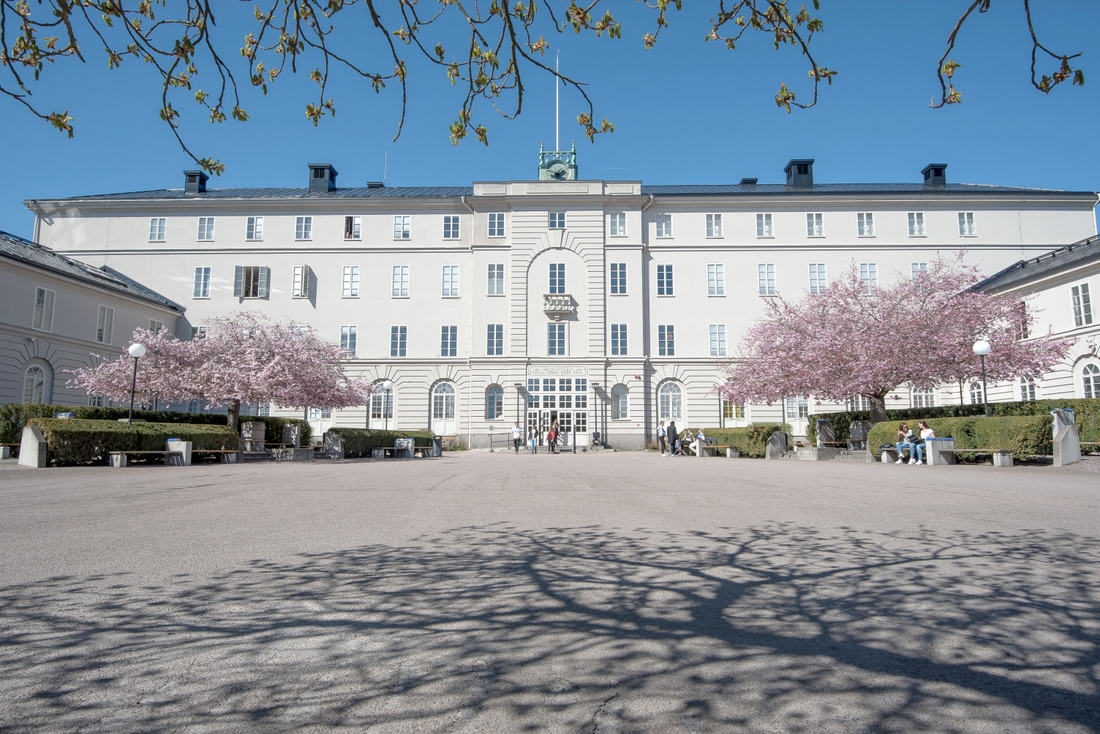 Stagneliusskolan - Program & merit