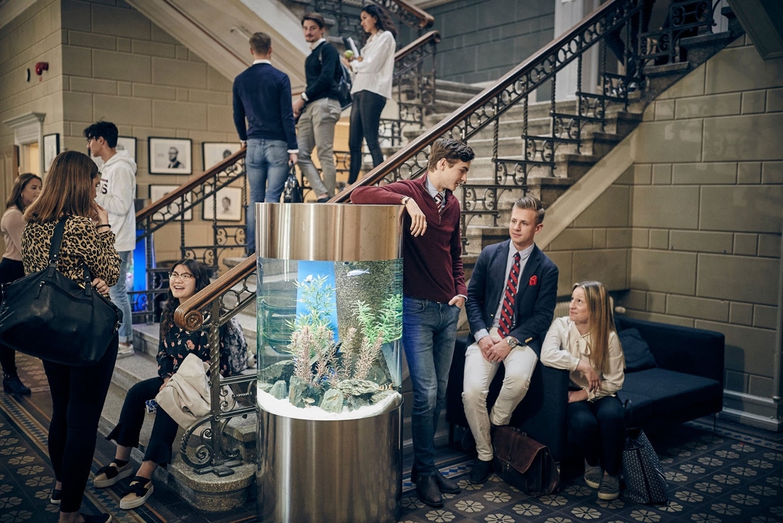 ProCivitas Privata Gymnasium Lund - Antagningspoäng 2026