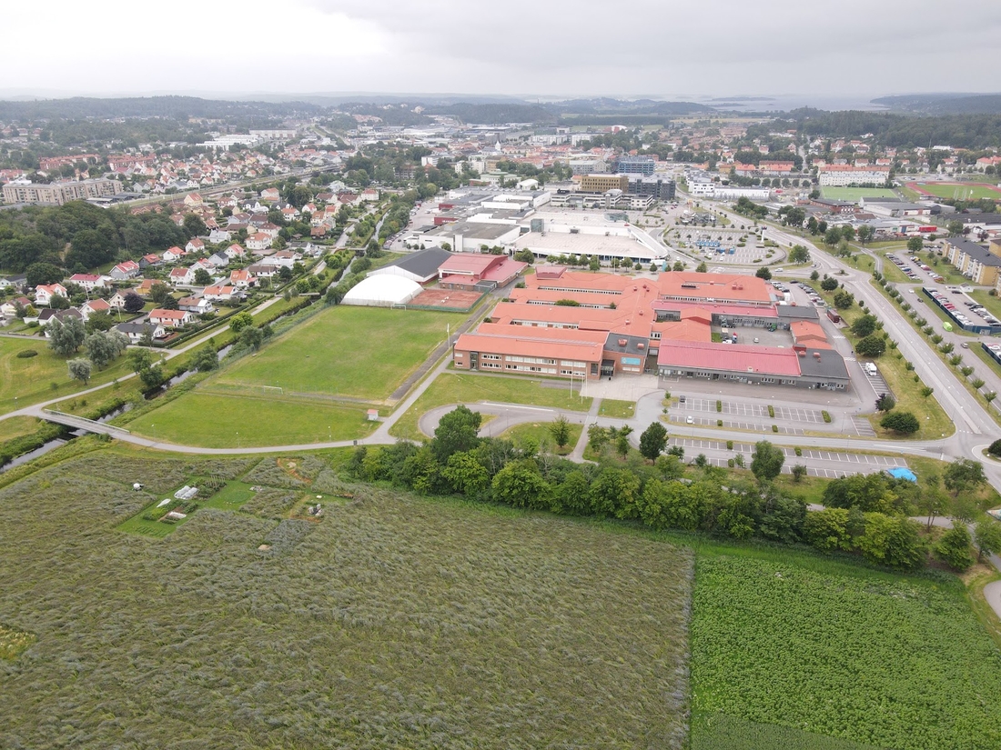 Elof Lindälvs Gymnasium - Antagningspoäng 2025